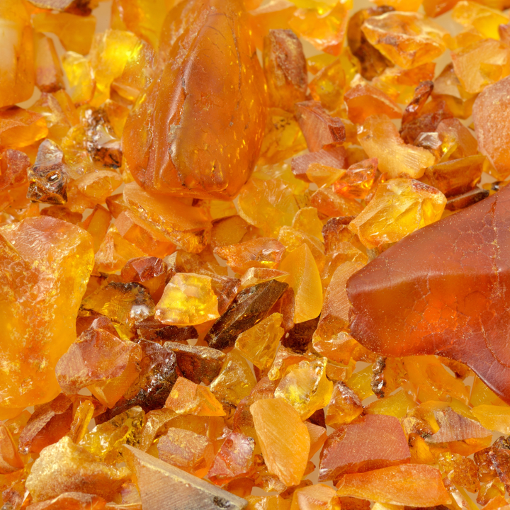 Amber Fragrances for Private Label Beauty Brands – Pravada Private Label