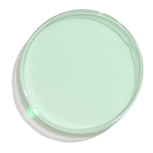 Green Tea Extract For Skincare Formulations Information & Facts ...