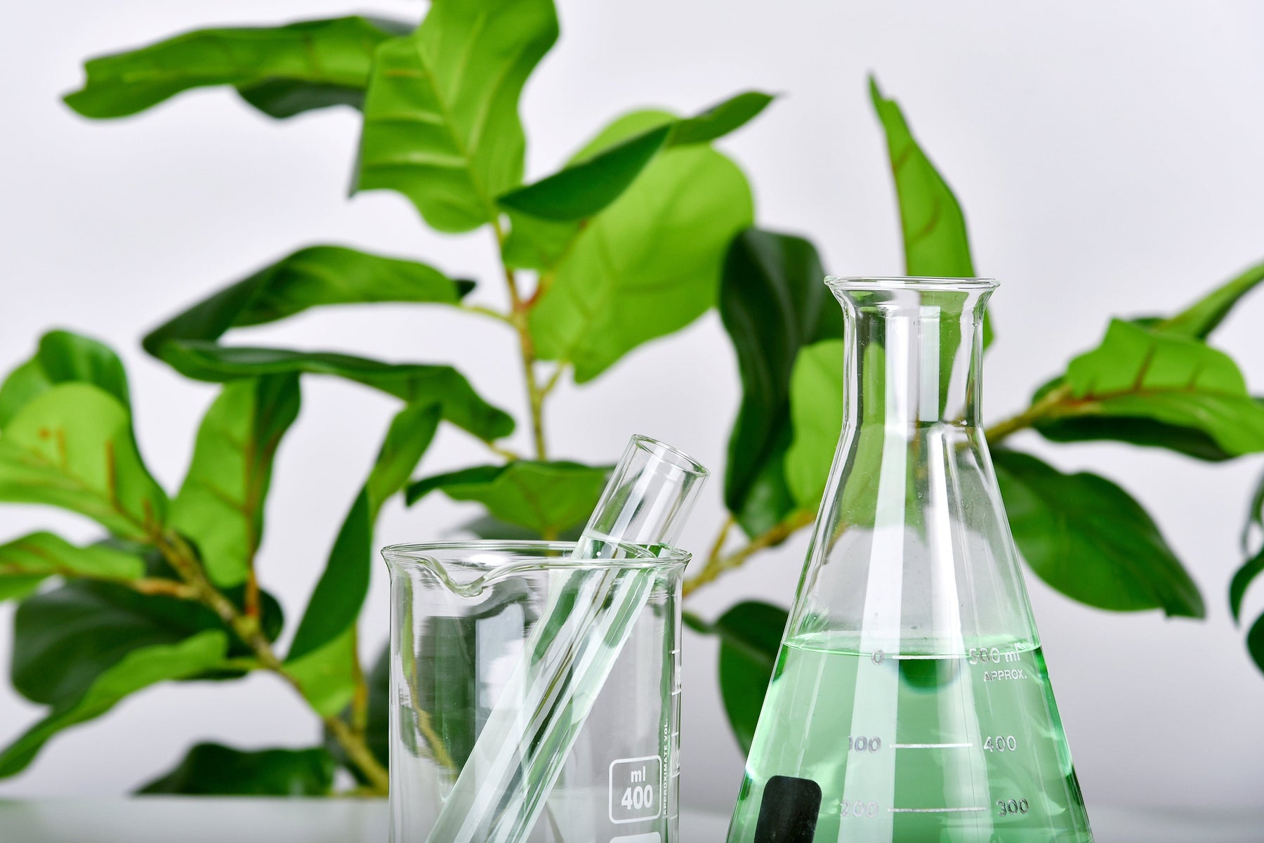 Advanced Manufacturing Capabilities of Pravada – Pravada Private Label