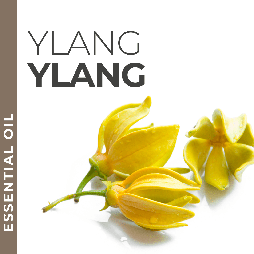 Ylang Ylang Essential Oil