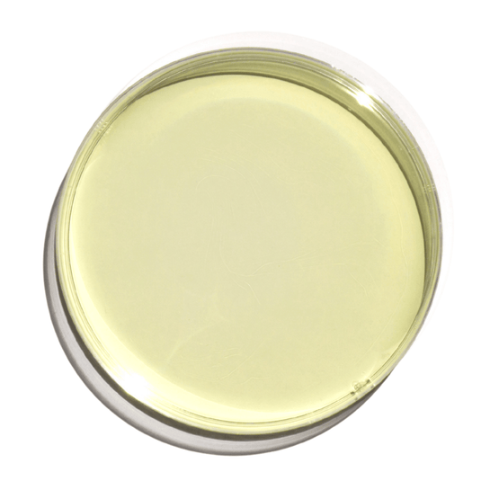 Retinol For Advanced Skin Care Formulas | Private Label Ingredients ...